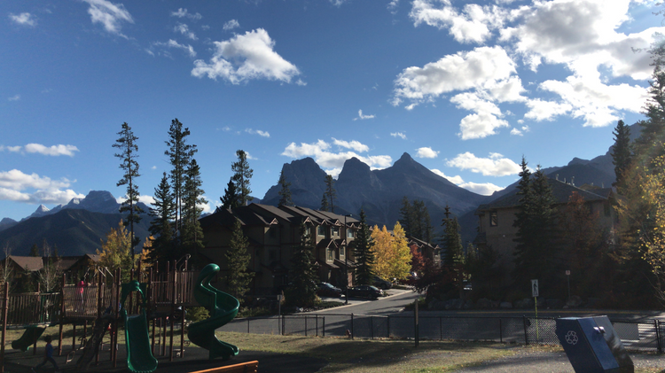 Mr Adrian Mitchell - Manager